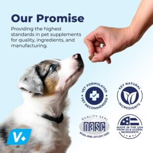 Vetnique Labs Profivex Probiotics for Dogs All Natural Dog Chews & Powder for Digestive Health Probiotic Supplements for Dogs 5 Strains of Probiotics & Prebiotics (Soft Chews, 60ct)