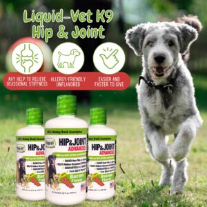 Liquid-Vet by COOL PET Holistics K9 Hip & Joint Advanced Formula, Bacon Flavor, 32 oz