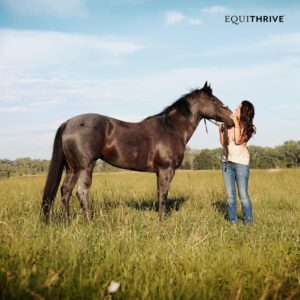 Equithrive Horse Gut Pellets with Probiotics, Psyllium Husk Powder, Sodium Bicarbonate and Omega 3 Fatty Acids, Digestive Support Supplement, 3.3 lbs