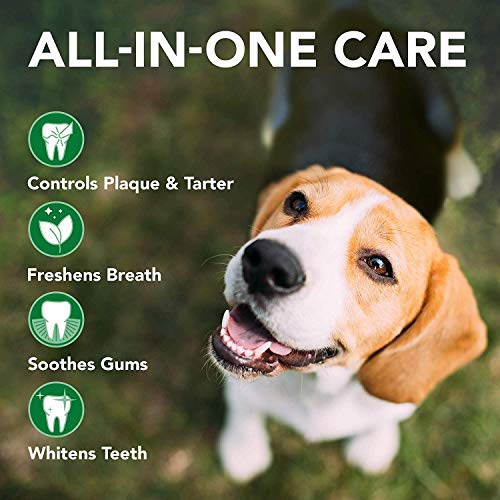 Vet’s Best Dog Toothpaste, Teeth Cleaning and Fresh Breath Dental Care Gel Kit