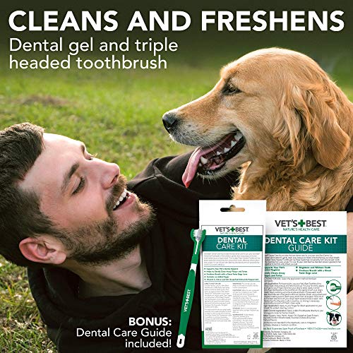 Vet’s Best Dog Toothpaste, Teeth Cleaning and Fresh Breath Dental Care Gel Kit