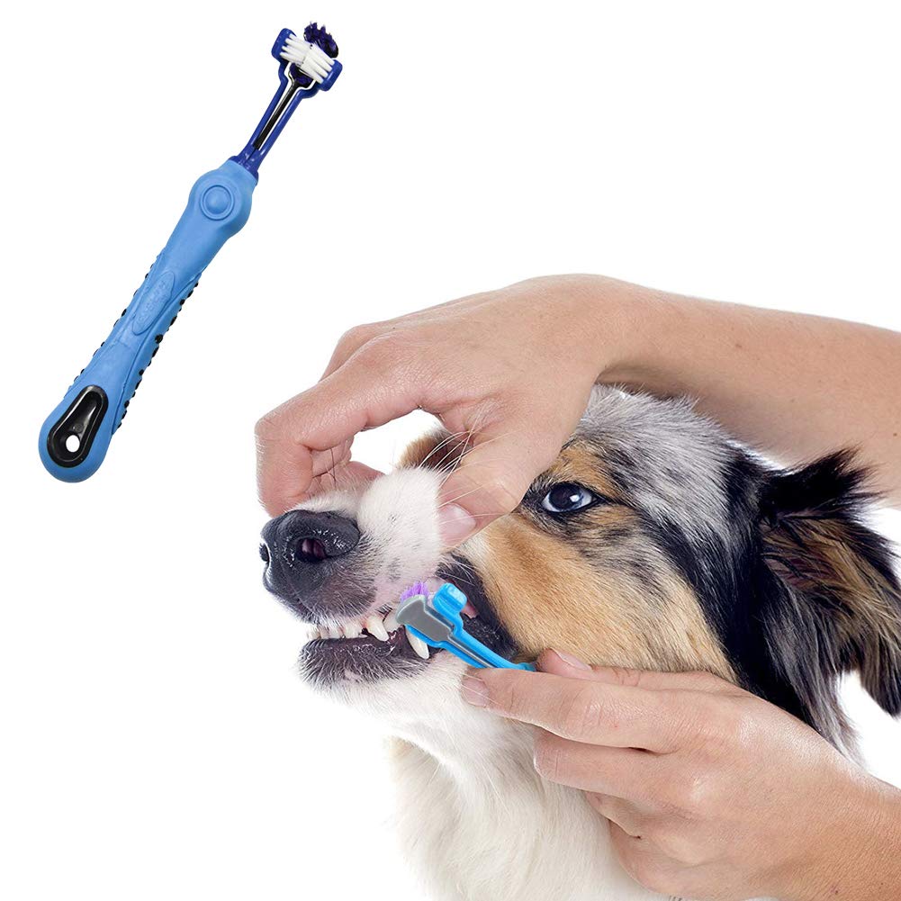 Orgrimmar 3-Sided Pet Toothbrush Dog Toothbrush Removing Bad Breath Tartar Cleaning Mouth Pet Dental Care Cat Cleaning Mouth (4 Count (Pack of 1))