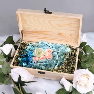 dedoot Unfinished Wooden Box with Hinged Lid 9.7x5.5x2.7 Inch Rectangle Keepsake Box Clasp Wood Box, Storage Box Wooden Gift Boxes for DIY Crafts, Home Deocration, Jewelry