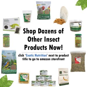 Fresh Feeders (Crickets) - All Natural High Protein Insect Treat - Single Serving Pouches - Chickens, Wild Birds, Hedgehogs, Bluebirds, Reptiles, Sugar Gliders, Opossums, Skunks, Lizards