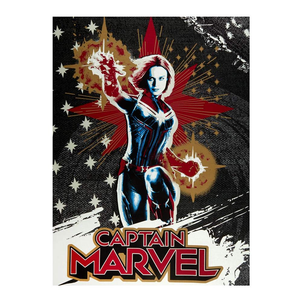 Eugene Textiles Camelot Marvel Heroes Captain Marvel Captain Marvel 36'' Panel Multi