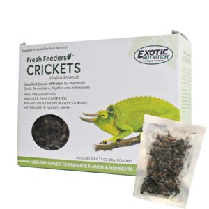 fresh feeders (crickets) - all natural high protein insect treat - single serving pouches - chickens, wild birds, hedgehogs, bluebirds, reptiles, sugar gliders, opossums, skunks, lizards