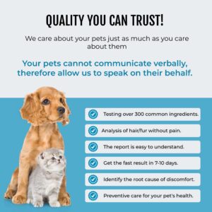 Healthy Stuff Online - Pet Sensitivity and Intolerance Test - Pet, Dietary, Sensitivity, Intolerance, at-Home Testing, Cats, Dogs, Horses - Animal DNA, Fast, Easy, Lab Results