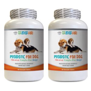 MY LUCKY PETS LLC Dog probiotic and Enzyme - Dog PROBIOTICS - Bad Breath and Passing Gas Solution - Oral Health - Dog Digestive Enzyme Supplements - 2 Bottles (120 Treats)