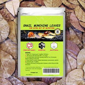 sungrow 50 pack catappa indian almond leaves for snails and crayfish, mini raw dried leaf for fish tank aquarium, maintains ph levels