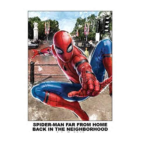 Northwest Spider-Man Micro Raschel Throw Blanket, 46" x 60", Back in the Neighborhood