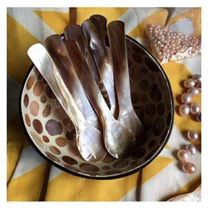 DUEBEL Set of 6 Pink Mother of Pearl 4.5 inch / 11cm MOP Caviar Spoons W Round Handle for Caviar Serving or Egg Serving