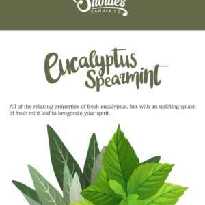 Eucalyptus Spearmint Premium Tealight Candles Multi Pack - Highly Scented with Essential & Natural Oils - 12 White Tea Lights - Beautiful Candlelight - Made in The USA - Fresh & Clean Collection