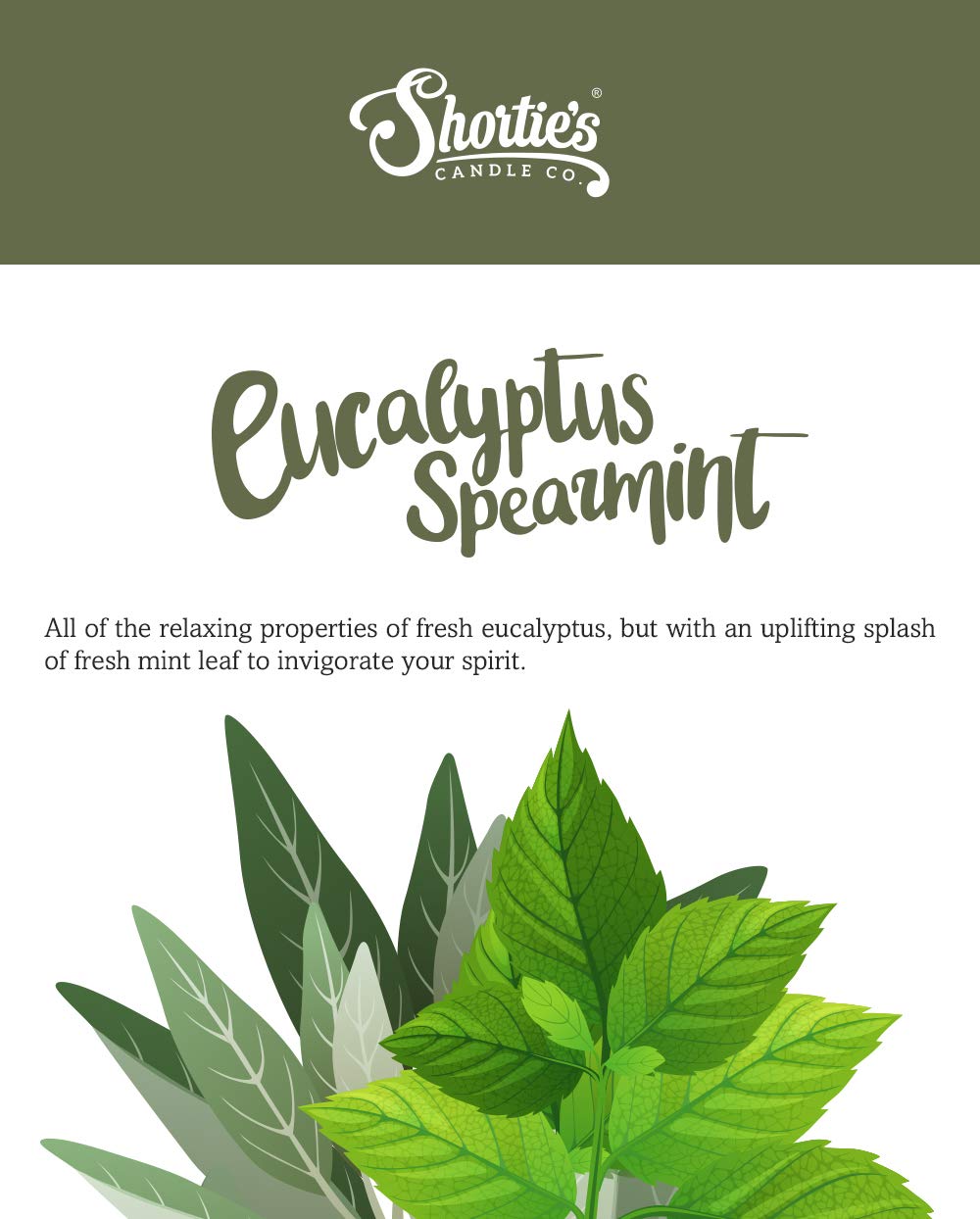 Eucalyptus Spearmint Premium Tealight Candles Multi Pack - Highly Scented with Essential & Natural Oils - 12 White Tea Lights - Beautiful Candlelight - Made in The USA - Fresh & Clean Collection