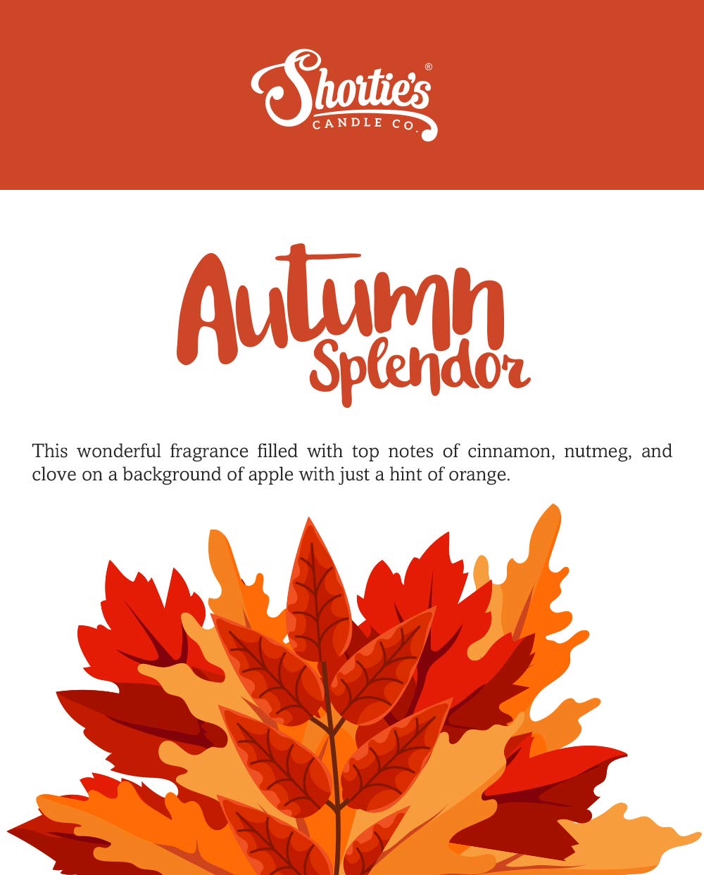 Autumn Splendor Premium Tealight Candles Bulk Pack - Highly Scented with Essential Oils - 24 Orange Tea Lights - Beautiful Candlelight - Made in The USA - Christmas & Holiday Collection