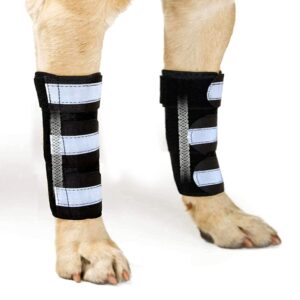 neoally- front leg brace for dogs & cats, dog leg brace with metal spring inserts, dog leg sleeve for carpal support, dog leg sleeve with reflective straps, l/xl, pair