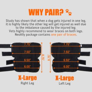 NeoAlly X-Large (1 Pair) Dog Rear Leg Brace with Metal Spring Strips, Harness for Hock & Ankle Support, Large Breeds, Breathable, Adjustable