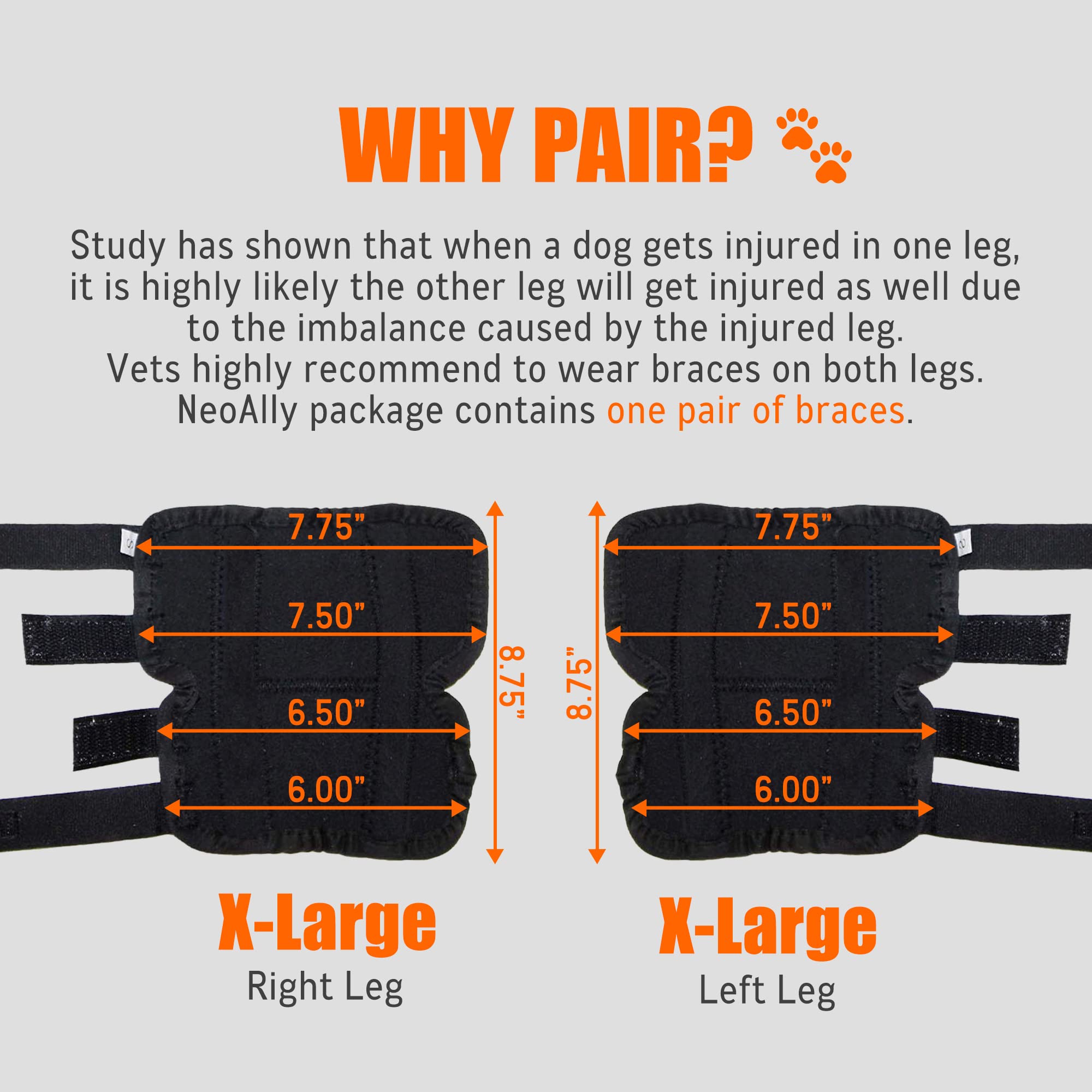 NeoAlly X-Large (1 Pair) Dog Rear Leg Brace with Metal Spring Strips, Harness for Hock & Ankle Support, Large Breeds, Breathable, Adjustable