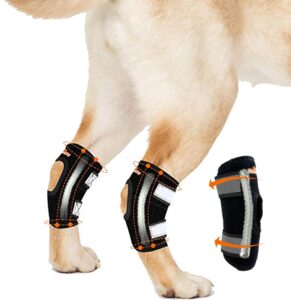 neoally® - rear leg hock brace with metal spring strips, dog leg brace for rear leg, hock and ankle support, rear dog leg brace for smaller dogs, short version, medium, 1 pair