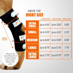 NeoAlly X-Large (1 Pair) Dog Rear Leg Brace with Metal Spring Strips, Harness for Hock & Ankle Support, Large Breeds, Breathable, Adjustable