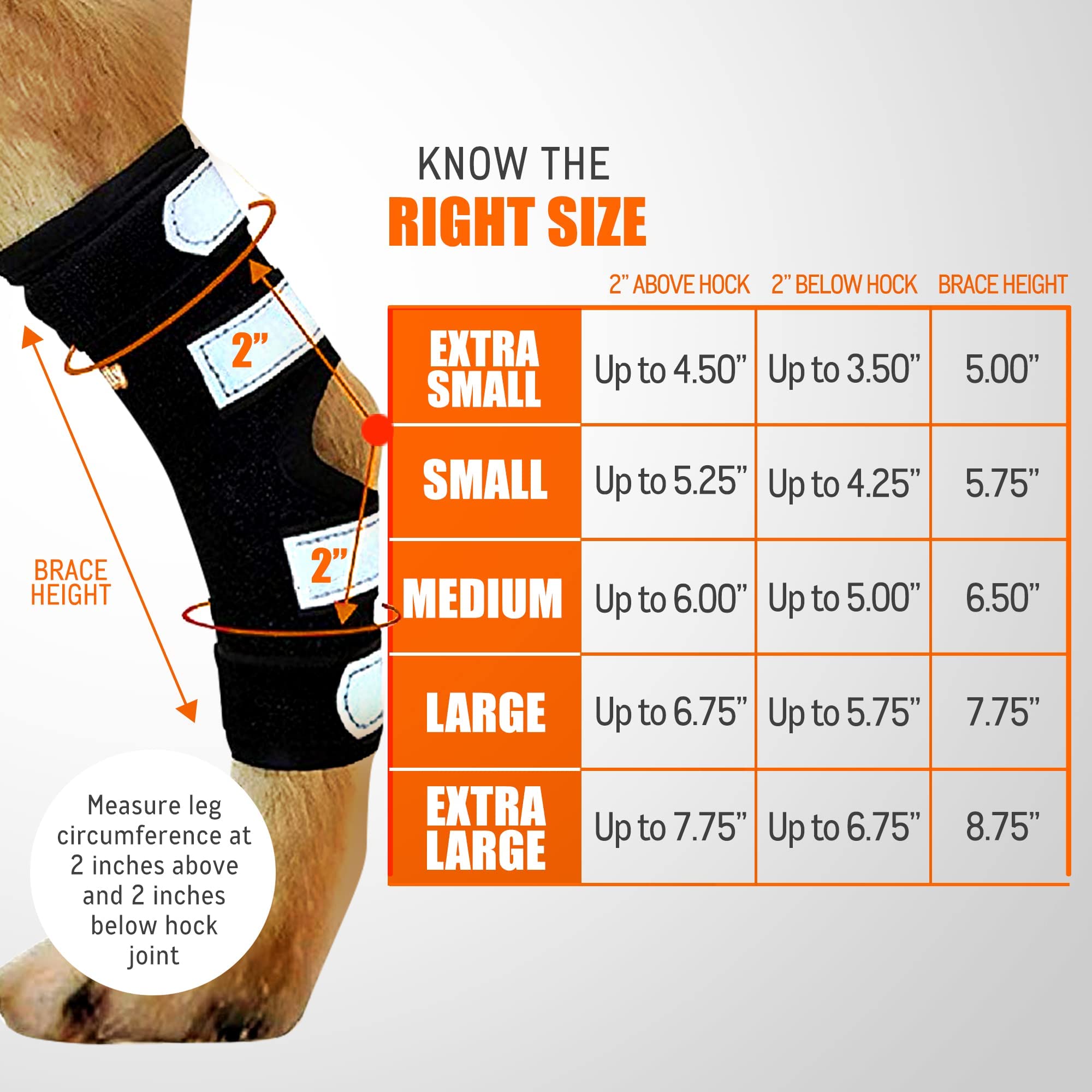 NeoAlly - Rear Leg Hock Brace with Metal Spring Strips, Dog Leg Brace for Rear Leg, Hock & Ankle Support, Rear Dog Leg Brace for Large Dogs, Long. (Both Legs, Small)