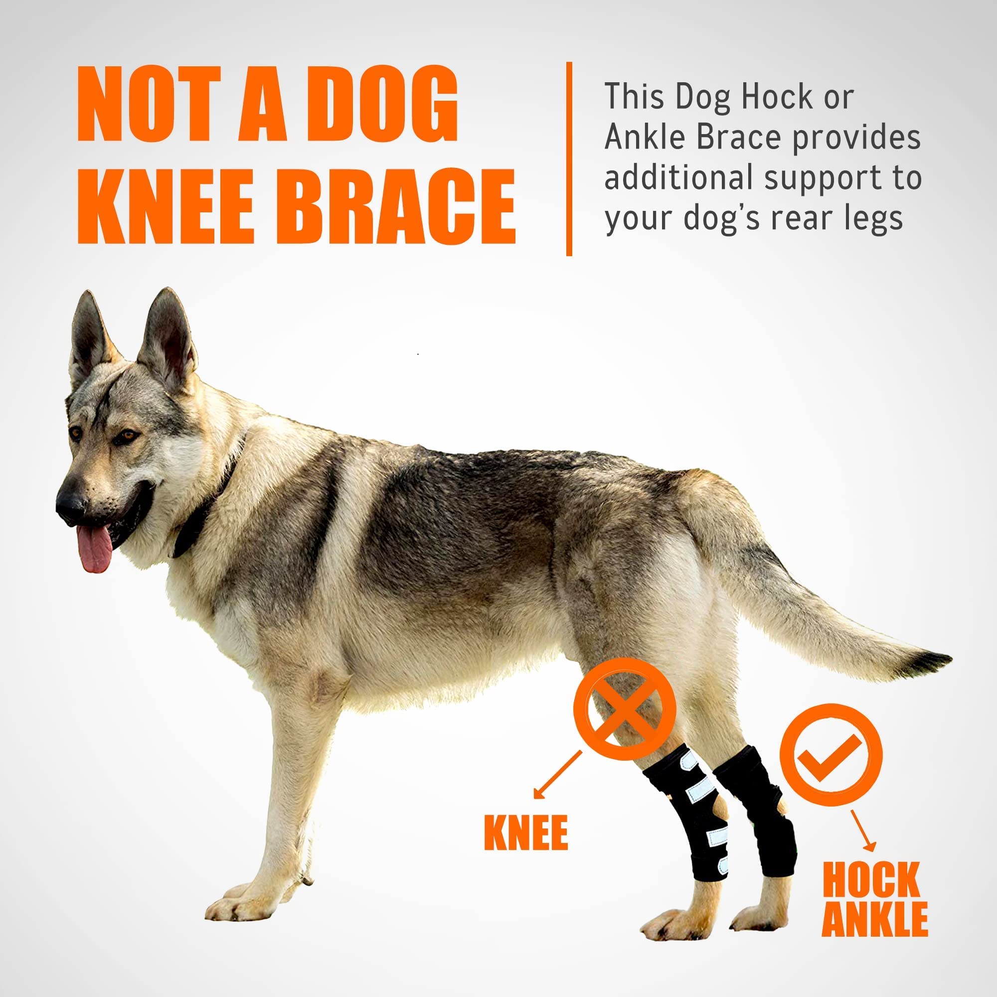 NeoAlly - Rear Leg Hock Brace with Metal Spring Strips, Dog Leg Brace for Rear Leg, Hock & Ankle Support, Rear Dog Leg Brace for Large Dogs, Long. (Both Legs, Small)