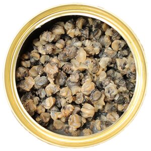 Canned Snails (1.2 oz.) - Healthy High Protein Insect Treat - Hedgehogs, Sugar Gliders, Reptiles, Wild Birds, Chickens, Lizards, Bearded Dragons, Skunks, Opossums, Fish, Amphibians, Turtles