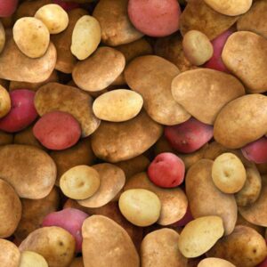 potatoes in multi premium quality cotton fabric by the yard l8