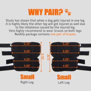 NeoAlly - Rear Leg Hock Brace with Metal Spring Strips, Dog Leg Brace for Rear Leg, Hock & Ankle Support, Rear Dog Leg Brace for Large Dogs, Long. (Both Legs, Small)