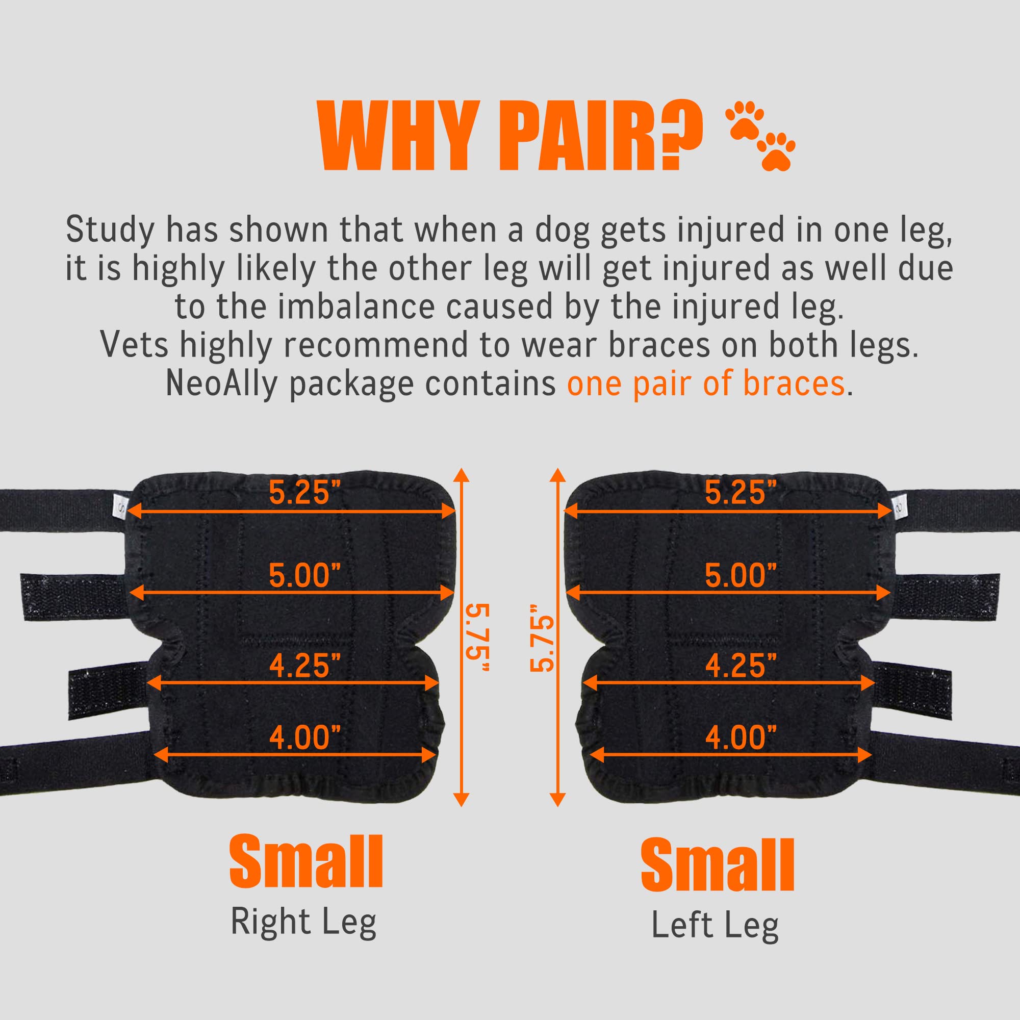 NeoAlly - Rear Leg Hock Brace with Metal Spring Strips, Dog Leg Brace for Rear Leg, Hock & Ankle Support, Rear Dog Leg Brace for Large Dogs, Long. (Both Legs, Small)