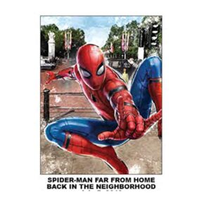 northwest spider-man micro raschel throw blanket, 46" x 60", back in the neighborhood