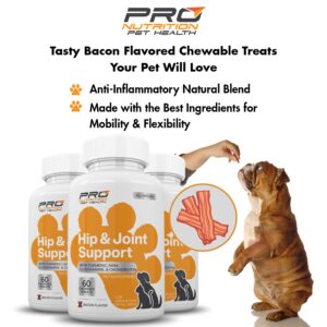 Hip & Joint Supplement- Improves Mobility, Joint Flexibility, & Arthritis Pain Relief. Powerful Ingredients Turmeric, Chondroitin, Glucosamine & MSM. Soft Chewable Bacon Flavor Tablet for Dogs & Cats.