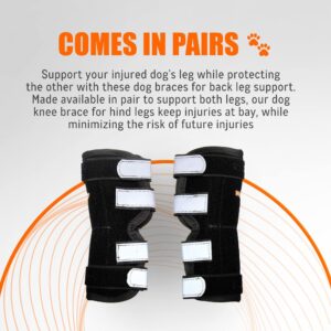 NeoAlly X-Large (1 Pair) Dog Rear Leg Brace with Metal Spring Strips, Harness for Hock & Ankle Support, Large Breeds, Breathable, Adjustable