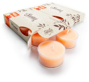 autumn splendor premium tealight candles multi pack - highly scented with essential oils - 12 orange tea lights - beautiful candlelight - made in the usa - christmas & holiday collection