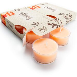 Autumn Splendor Premium Tealight Candles Multi Pack - Highly Scented with Essential Oils - 12 Orange Tea Lights - Beautiful Candlelight - Made in The USA - Christmas & Holiday Collection