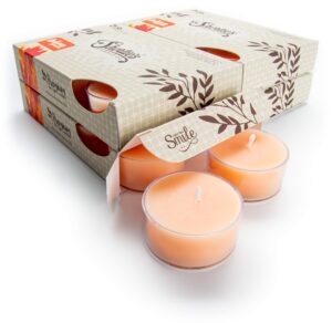 autumn splendor premium tealight candles bulk pack - highly scented with essential oils - 24 orange tea lights - beautiful candlelight - made in the usa - christmas & holiday collection