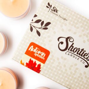 Autumn Splendor Premium Tealight Candles Bulk Pack - Highly Scented with Essential Oils - 24 Orange Tea Lights - Beautiful Candlelight - Made in The USA - Christmas & Holiday Collection