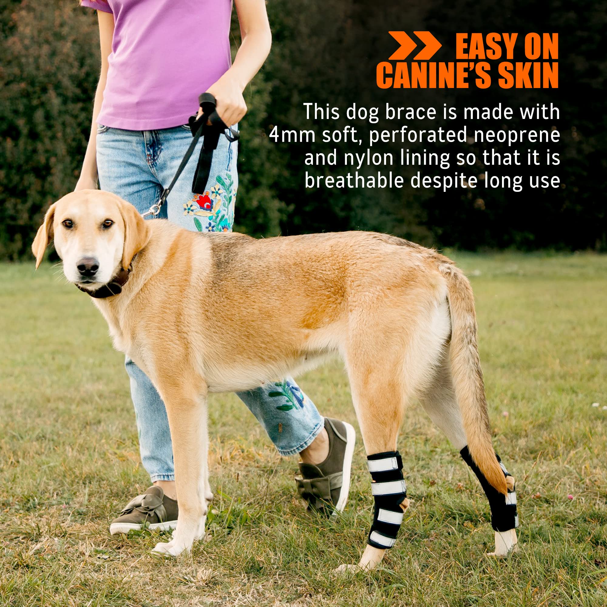 NeoAlly X-Large (1 Pair) Dog Rear Leg Brace with Metal Spring Strips, Harness for Hock & Ankle Support, Large Breeds, Breathable, Adjustable