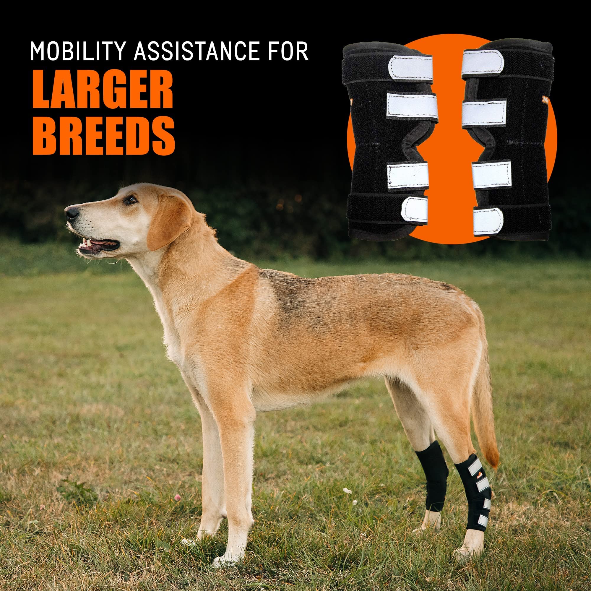 NeoAlly X-Large (1 Pair) Dog Rear Leg Brace with Metal Spring Strips, Harness for Hock & Ankle Support, Large Breeds, Breathable, Adjustable