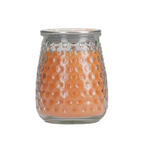 Greenleaf Gifts Signature Fragranced Soy Blend Glass Decorative Candle - Orange & Honey