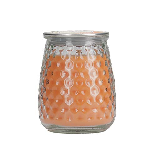 Greenleaf Gifts Signature Fragranced Soy Blend Glass Decorative Candle - Orange & Honey