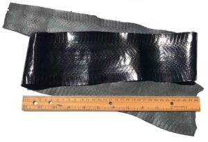 snake skin snakeskin black cobra 40+ inches long, 3-4 inches wide