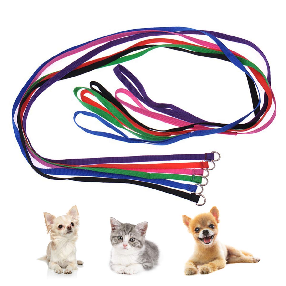 6PCS Dog Slip Leads D Ring Kennel Nylon Rope for Pet Animal Control Grooming Shelter Rescues Doggy Daycare