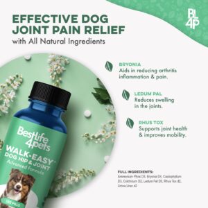 Advanced Hip and Joint Supplement for Dogs - Natural Extra Strength Dog Arthritis Pain Relief & Anti Inflammatory for Dogs Helps Limping, Mobility Issues, Hip Dysplasia, ACL Tears - 180 Tiny Pills