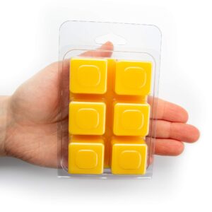 Shortie's Candle Company Lemongrass Wax Melts Bulk Pack - 4 Highly Scented 3 Oz. Bars (12 Oz. Total) - Made with Natural Oils - Fresh & Clean Air Freshener Cubes Collection