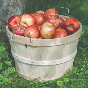 Lehman's Handcrafted Half Bushel Baskets, Vintage Style USA Made Poplar Wood with Wire Handles, 9.5 x 14.75 inches, Set of 2