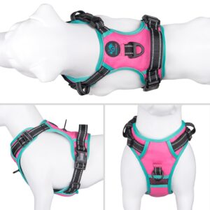 PHOEPET 2019 Upgraded No Pull Dog Harness, Reflective Adjustable Vest, with a Training Handle + 2 Metal Leash Hooks+ 3 Snap Buckles +4 Slide Buckles(L, Pink)