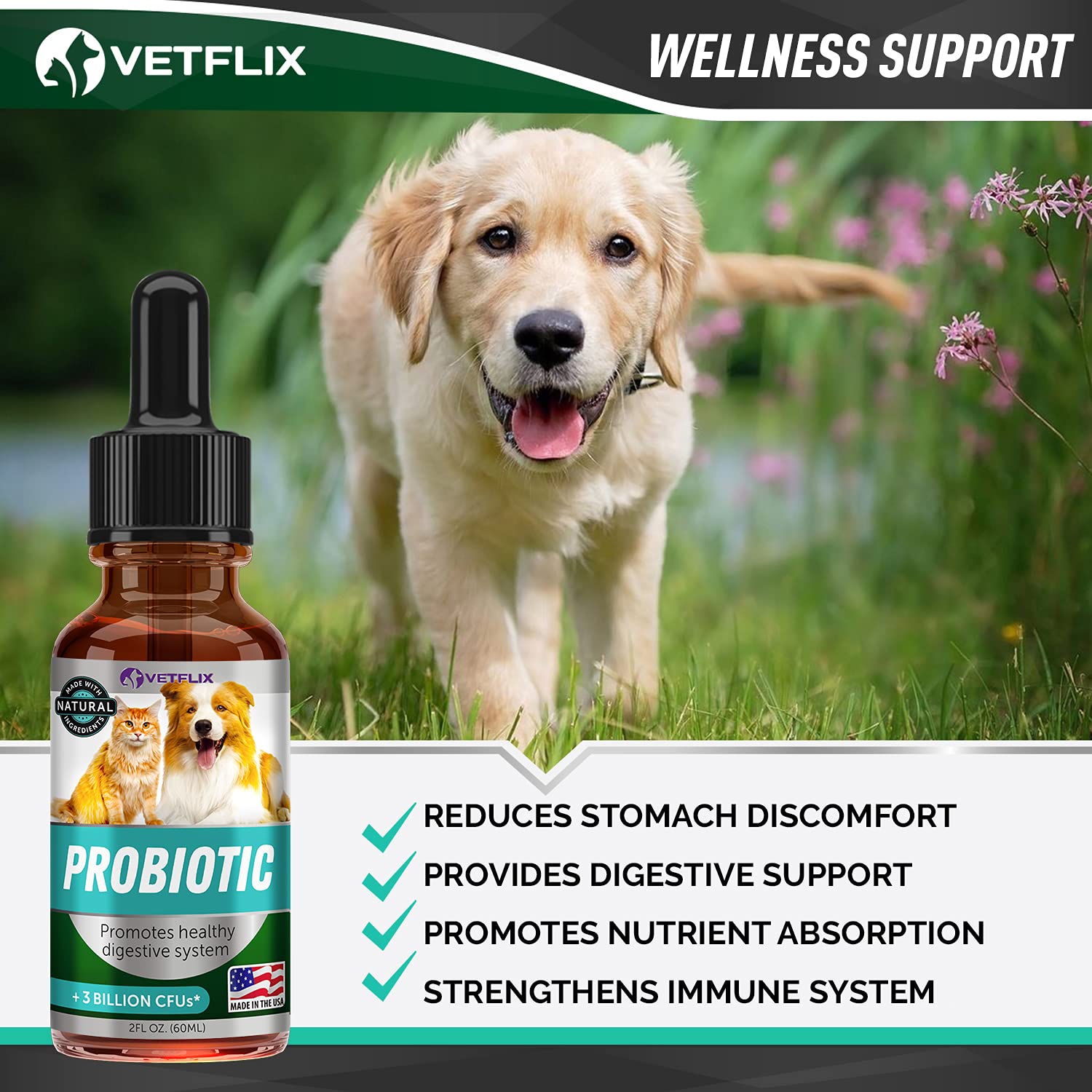 Premium Probiotics for Dogs & Cats - Digestive Enzymes & Prebiotics Supplement - Helps to Relieve Diarrhea, Vomiting, Upset Stomach, Gas, Constipation & Bad Breath - Supports Healthy Digestive System