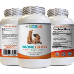 advanced probiotic formula for dogs and cats - PET PROBIOTIC - DOGS AND CATS - DIGESTIVE BOOST - GET RID OF BAD BREATH AND STOP DIARRHEA - cat stomach relief natural - 1 Bottle (60 Treats)