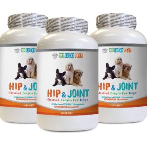 dog joint supplement chews senior wellness - DOG HIP AND JOINT COMPLEX - VET APPROVED - POWERFUL FORMULA - IMMUNE SUPPORT - INCREASE JOINT MOBILITY - natural vitamin c for dogs - 3 Bottle (360 Tablets