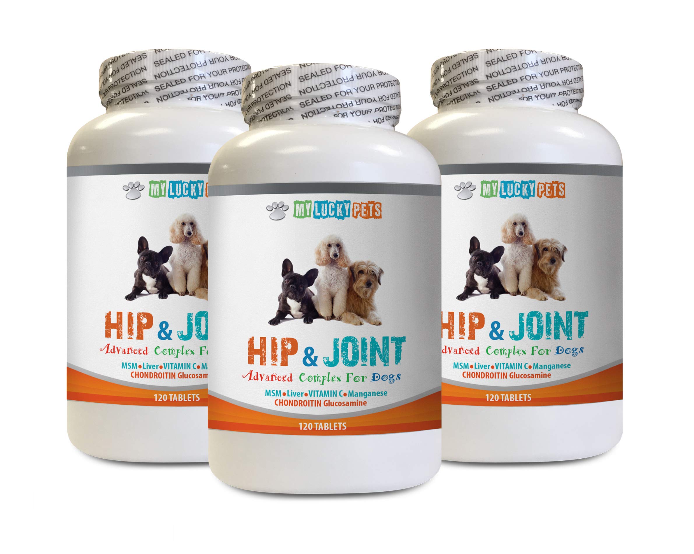 dog joint supplement chews senior wellness - DOG HIP AND JOINT COMPLEX - VET APPROVED - POWERFUL FORMULA - IMMUNE SUPPORT - INCREASE JOINT MOBILITY - natural vitamin c for dogs - 3 Bottle (360 Tablets